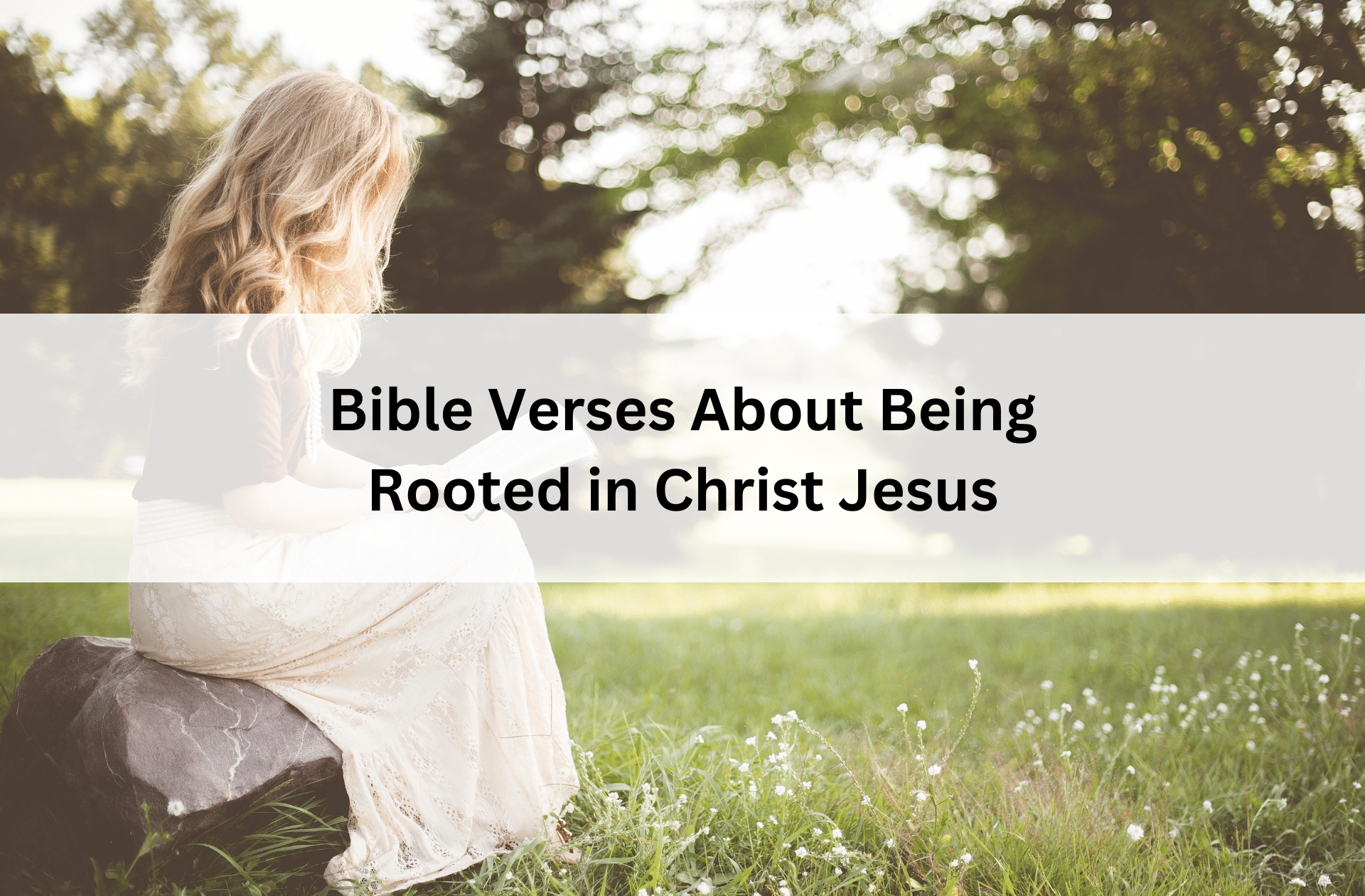 Bible Verses About Being Rooted in Christ Jesus